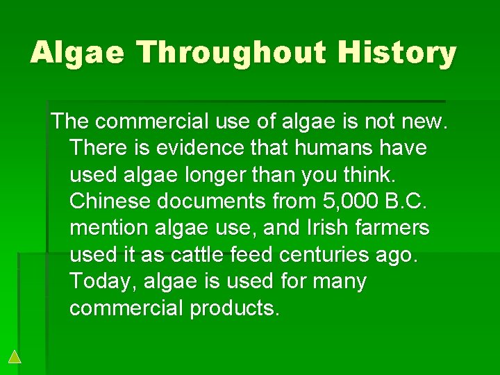 Algae Power The Future of Global Energy By