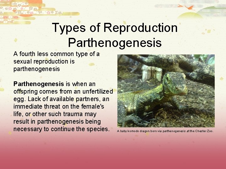 Types of Reproduction Types of Reproduction Asexual reproduction