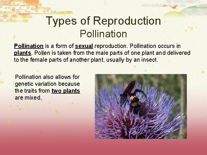 Types of Reproduction Types of Reproduction Asexual reproduction