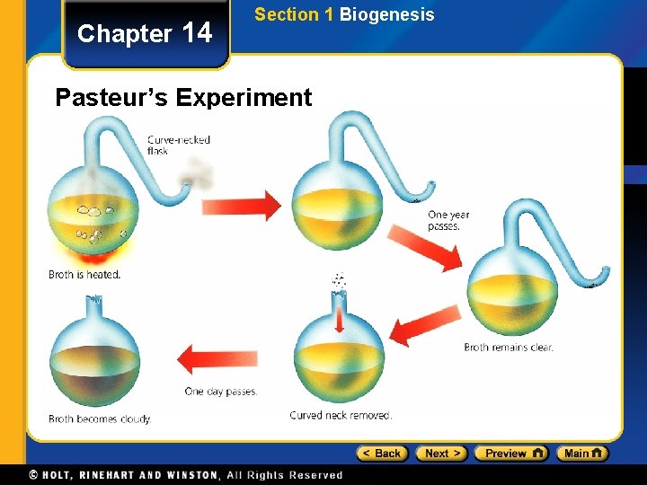Chapter 14 Section 1 Biogenesis Redis Experiment Before
