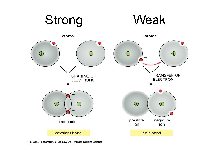 A Basic Chemistry Review Atom is the smallest