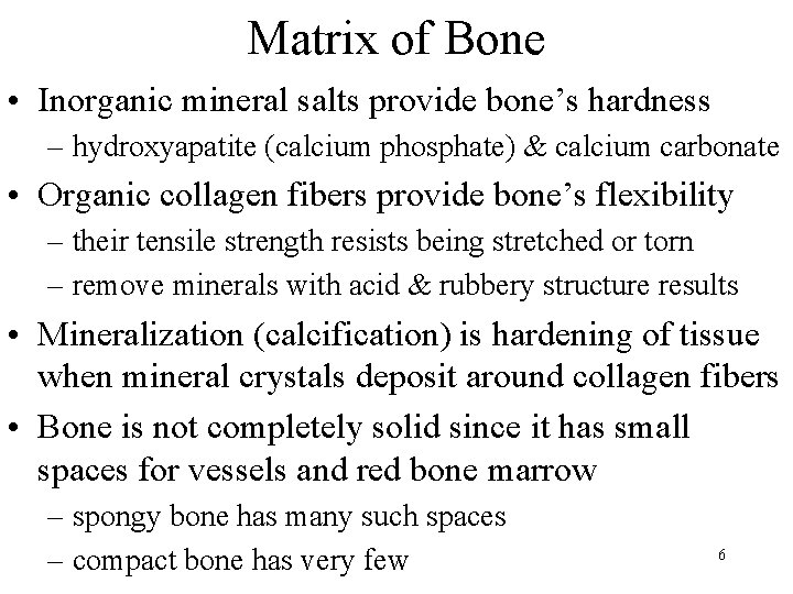 Chapter 6 Bone Tissue Dynamic and everchanging throughout