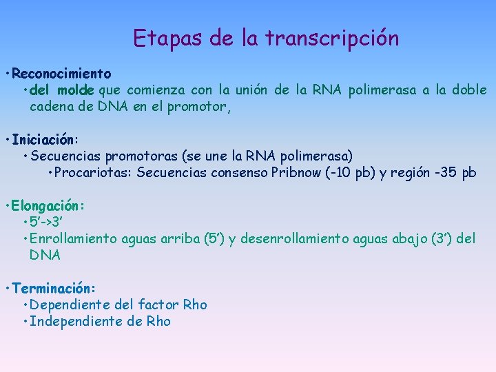 Clase IX Transcripcin en procariotas Gentica Molecular UNQ
