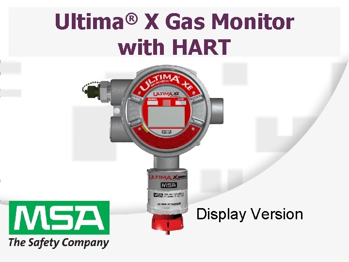 Ultima X Gas Monitor with HART Display Version
