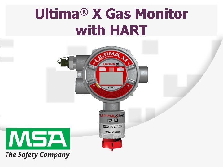 Ultima X Gas Monitor with HART Display Version