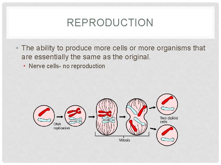 PROPERTIES OF LIFE MRS HIGGINS LVT LOCUST TRACE