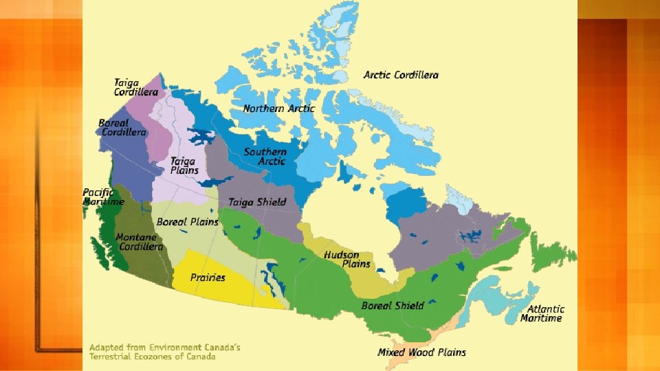 Canadas Ecozones What is an ecozone l A