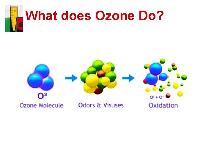 Global Oxygen Cycle There are four main reservoirs