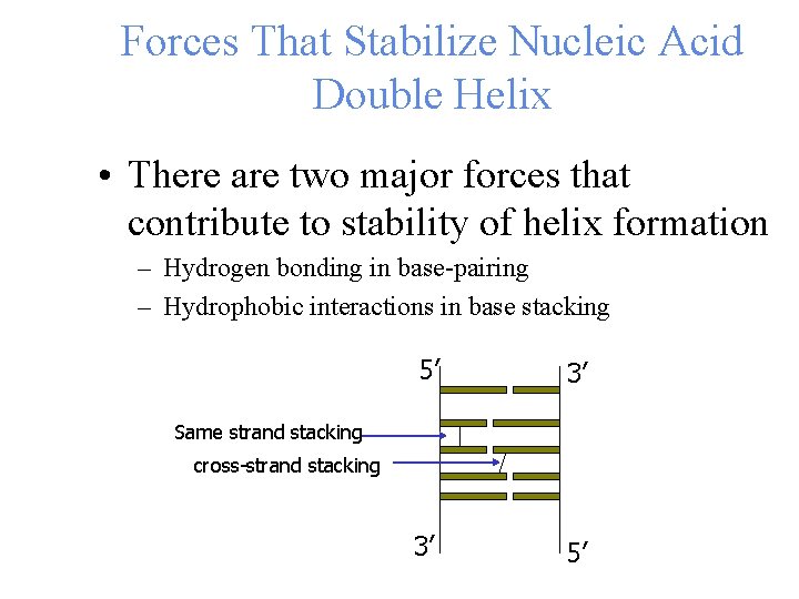Introduction to Bioinformatics Lecture 20 Sequencing genomes Nucleic
