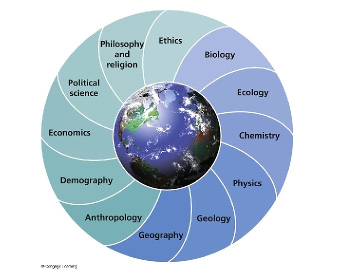 ENVIRONMENTAL SCIENCE Earth Lights from Space Earths Systems
