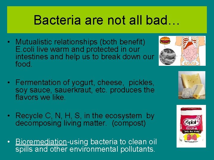 The Prokaryotes Archaea and Bacteria All photos in