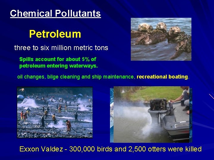 Freshwater and Freshwater Pollutants Whats in the Water