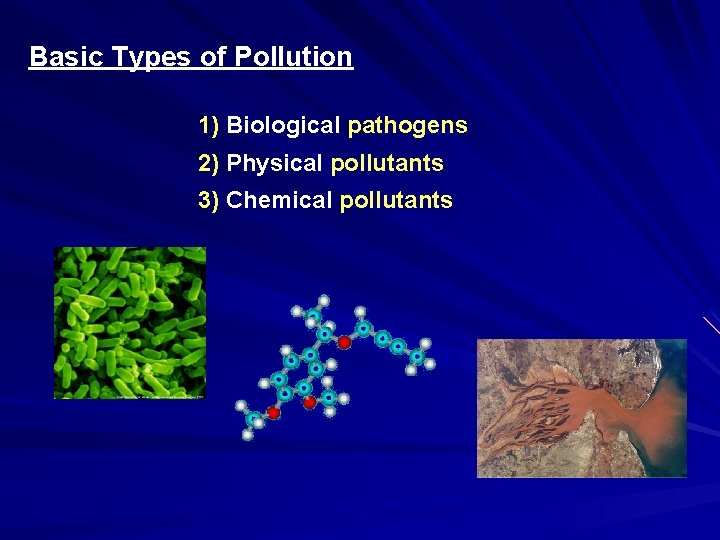 Freshwater and Freshwater Pollutants Whats in the Water