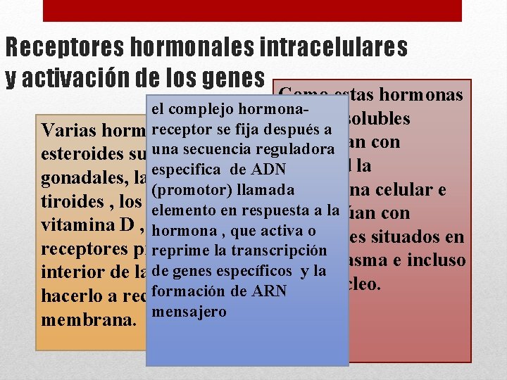COMUNICACION CELULAR Receptores de hormonas y su activacin