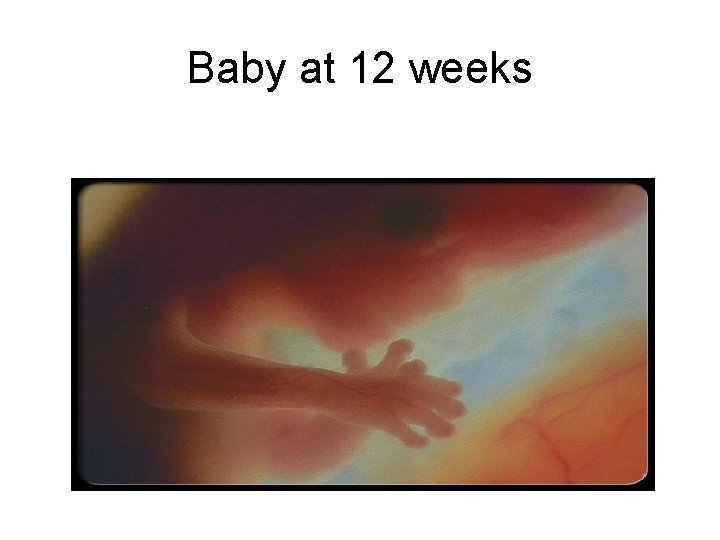 Relationships Conception and Birth Ground Rules Confidentiality v