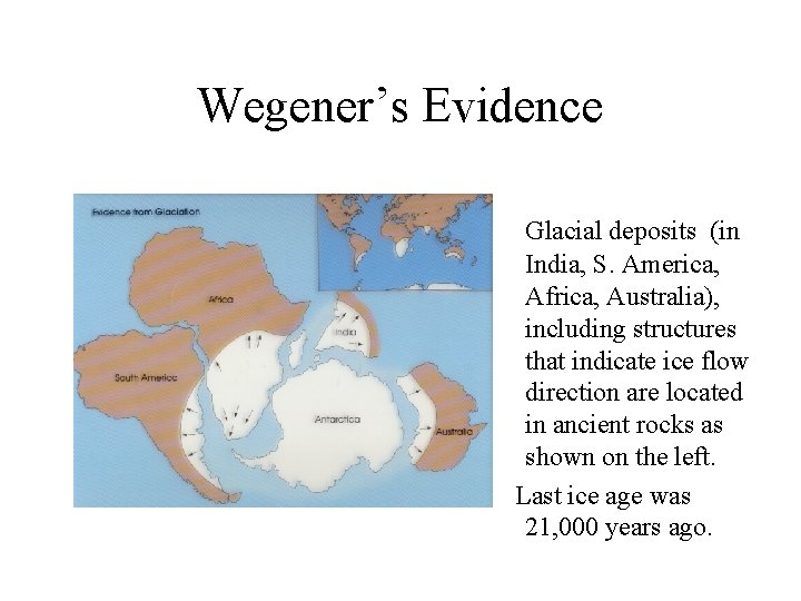 Continental Drift Alfred Wegener Alfred Wegener became the