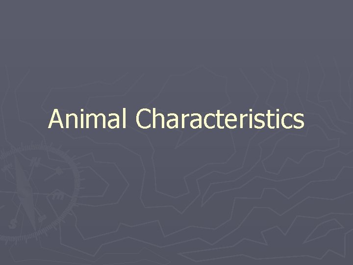 Animal Characteristics Characteristics Eukaryotic Multicellular Ways of ...