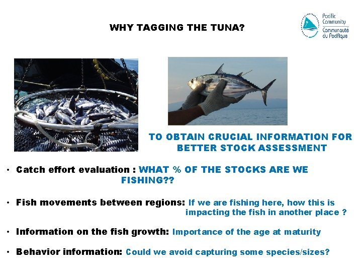 40 YEARS OF FISH TAGGING TO BETTER MANAGE