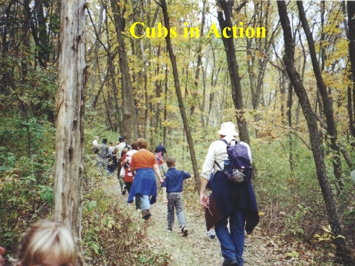 Cub Scout Roundup Welcome to our Pack What