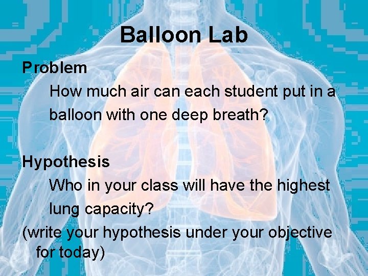 The Respiratory System Balloon Lab Every person has