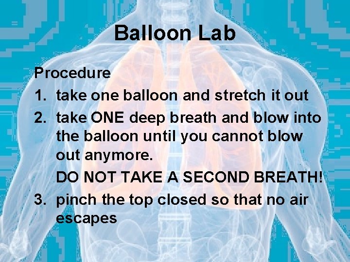The Respiratory System Balloon Lab Every person has