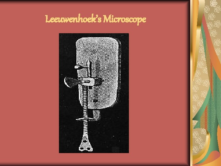 The Cell Theory SOL BIO 2 a The