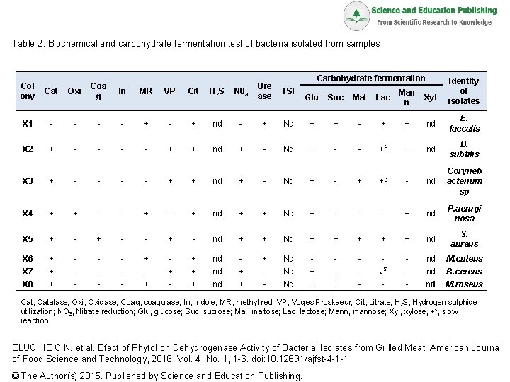 Table 2 Biochemical and carbohydrate fermentation test of