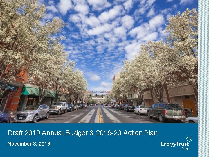 Draft 2019 Annual Budget 2019 20 Action Plan