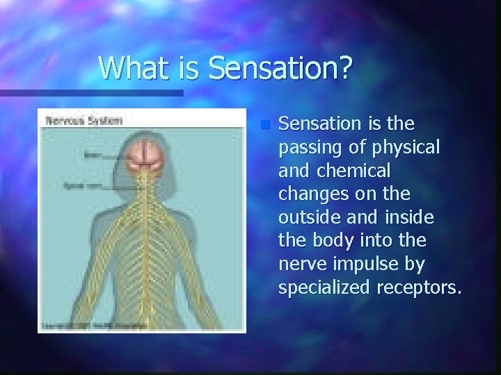 The Nervous System By Stephanie JJ and Katie
