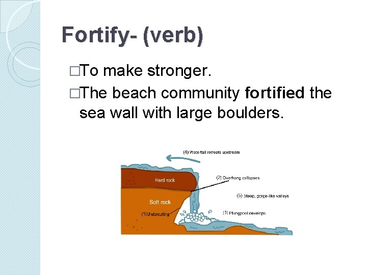 Word Wall Vocabulary Root Words Dyna Power ForcFort