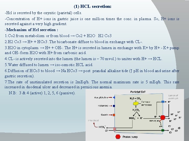 3 GASTRIC SECRETION Prof Sherif W Mansour Physiology