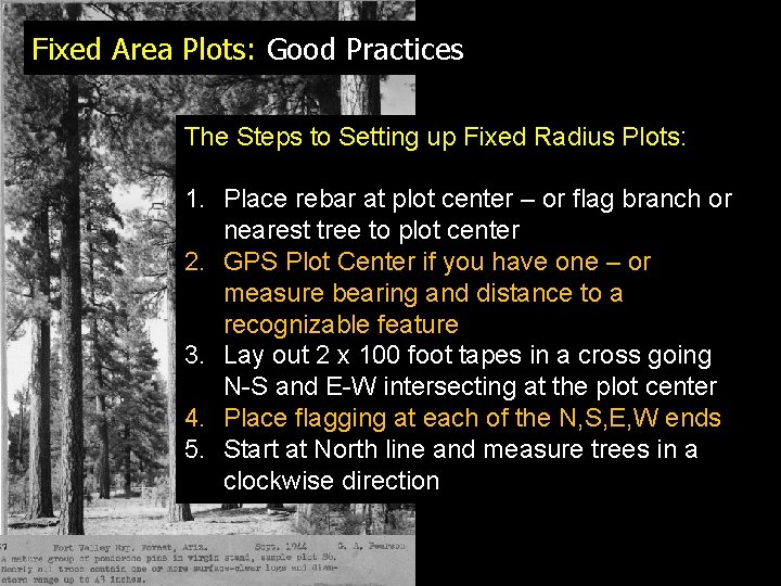 What Do You See Message of the Day