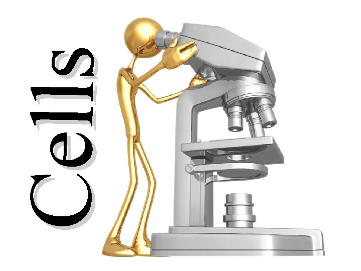 Cells Unit 3 The Discovery of Cells Microscopes