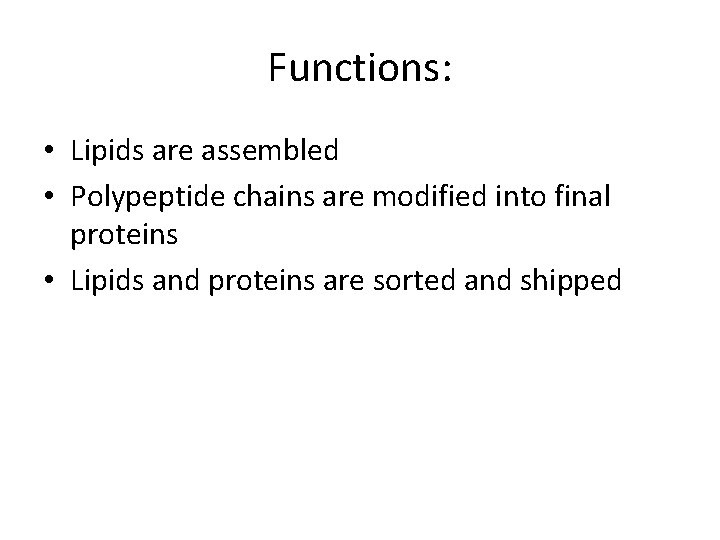 The Cytomembrane System Components Endoplasmic Reticulum Rough Smooth