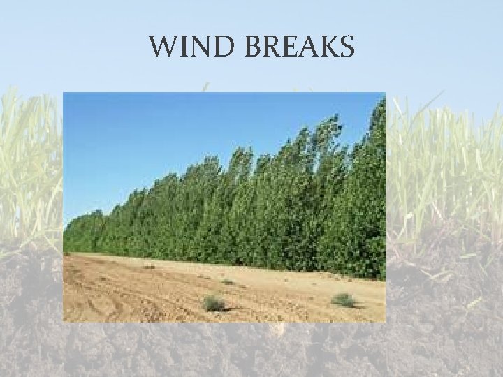 The Ground Beneath Our Feet SOIL UNIT What