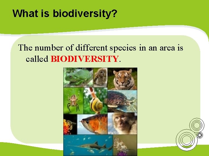 CHAPTER 3 3 BIODIVERSITY Biodiversity How many species