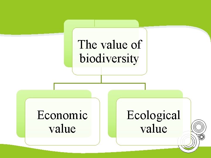 CHAPTER 3 3 BIODIVERSITY Biodiversity How many species