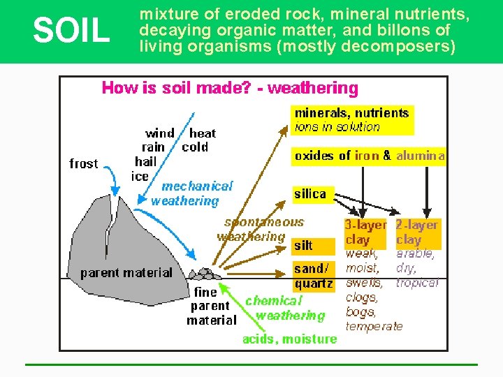 SOIL SOIL mixture of eroded rock mineral nutrients