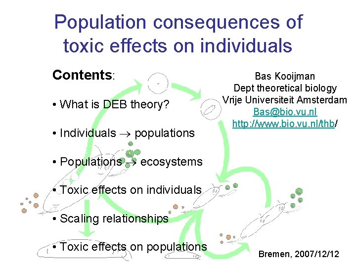 Population consequences of toxic effects on individuals Bas