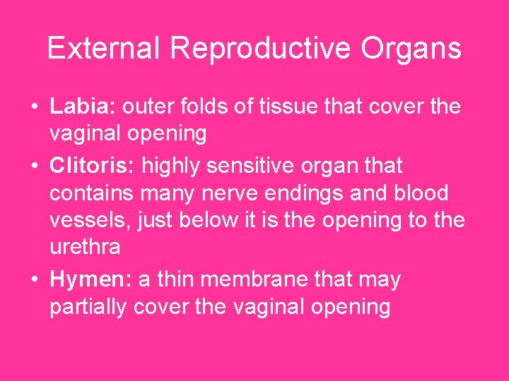 Female Reproductive System NonReproductive Organs Ureter Tube that