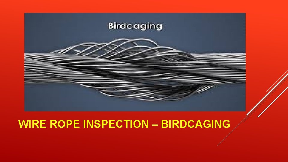 CRANE SAFETY AND INSPECTIONS Responsibilities Inspections Training ...