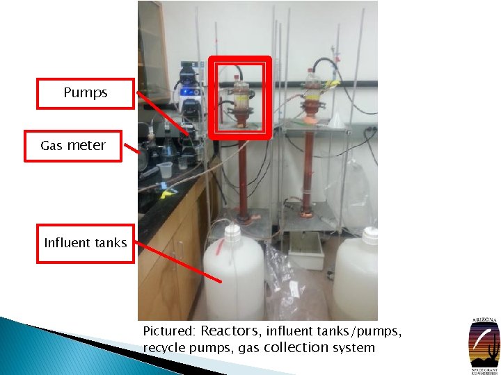 Nitrogen Removal in Anaerobic Ammonium Oxidation Bioreactors Austin
