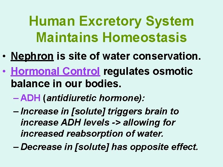 HeatOsmotic Regulation Excretory System Chapter 25 Thermo Regulation