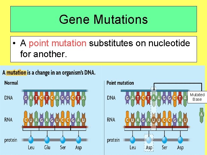 SB 2 The learner will analyze how biological