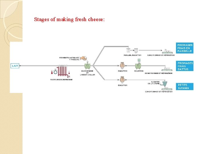 Cheese industry Tasting cheese is an art It