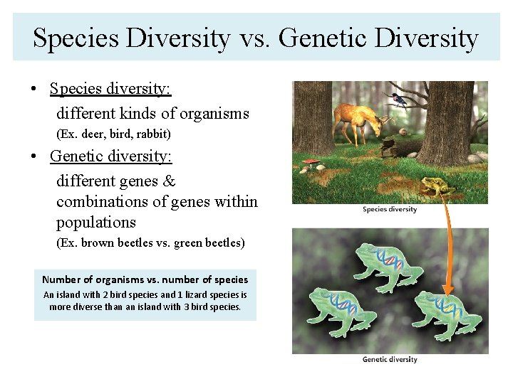 Title your page Biodiversity and Sustainability Notes life