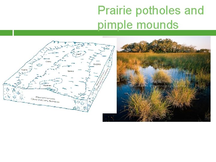 Welcome Please go get your interactive notebook Please