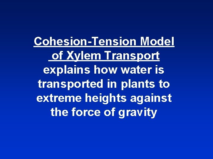 3 3 7 CohesionTension Model of Xylem Transport