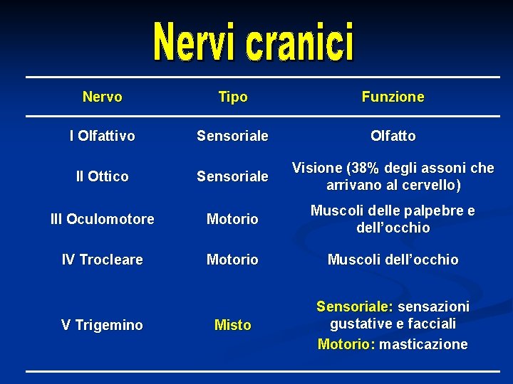 Un sistema sensoriale una parte del sistema nervoso