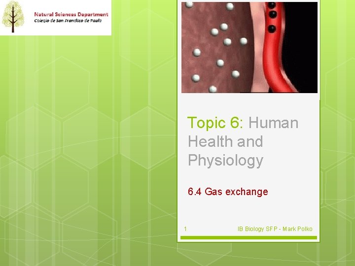Topic 6 Human Health and Physiology 6 4